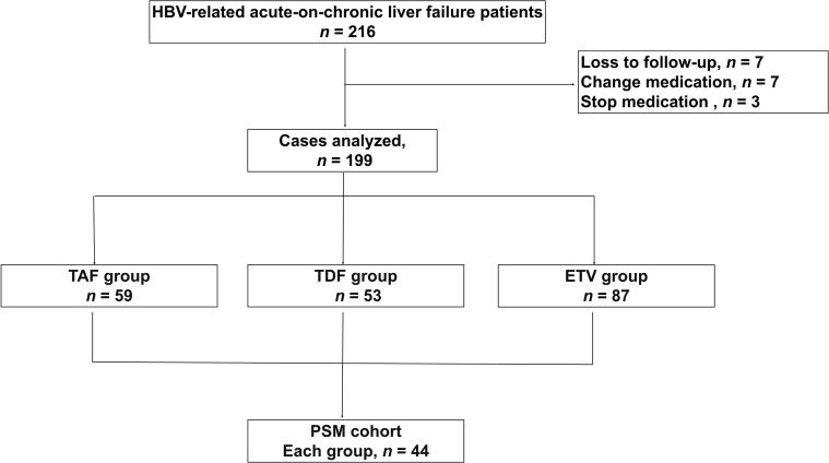 Long-term efficacy and safety of tenofovir alafenamide, tenofovir ...