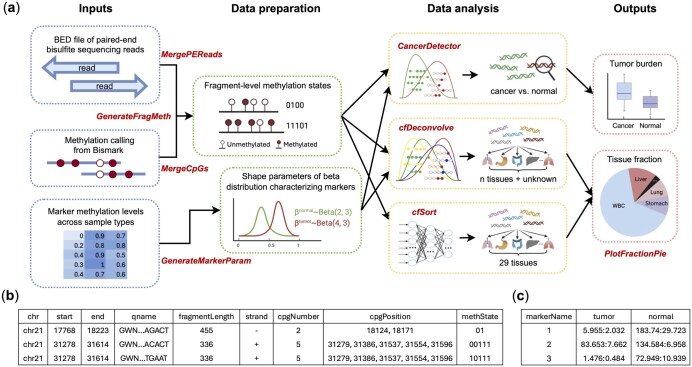 cfTools: an R/Bioconductor package for deconvolving cell-free DNA via methylation analysis - PMC