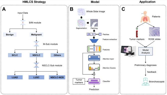 Automatic lung cancer subtyping using rapid on-site evaluation slides and serum biological ...