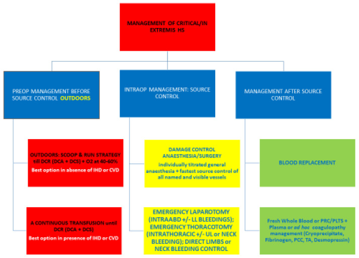 Management Of Hemorrhagic Shock Physiology Approach Timing And
