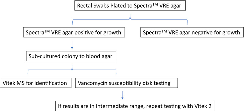 Development of a workflow for the detection of vancomycin-resistant ...