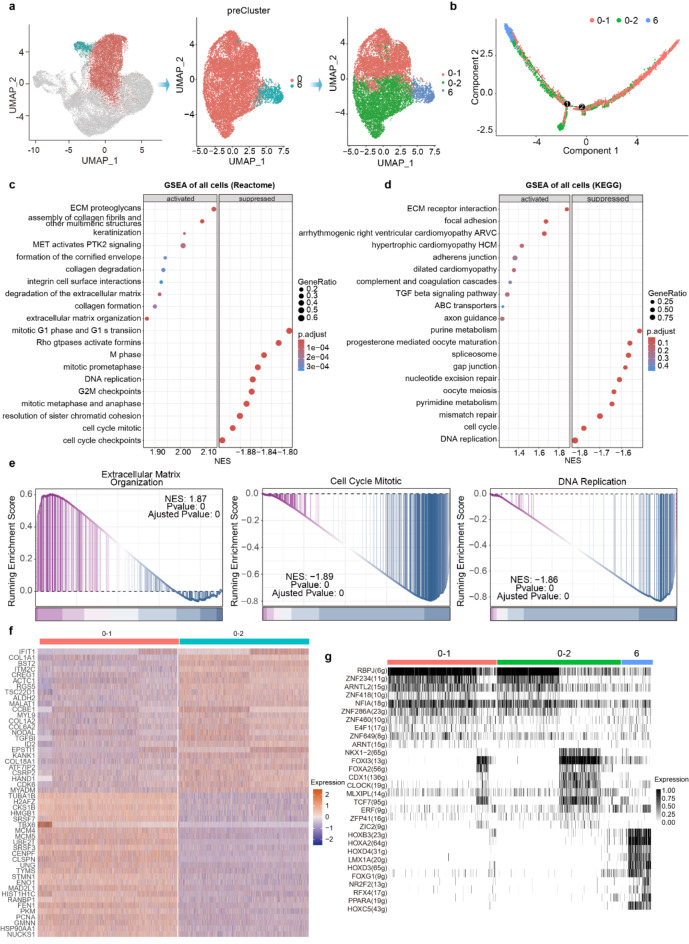 Single-cell RNA sequencing reveals key regulators and differentiation ...