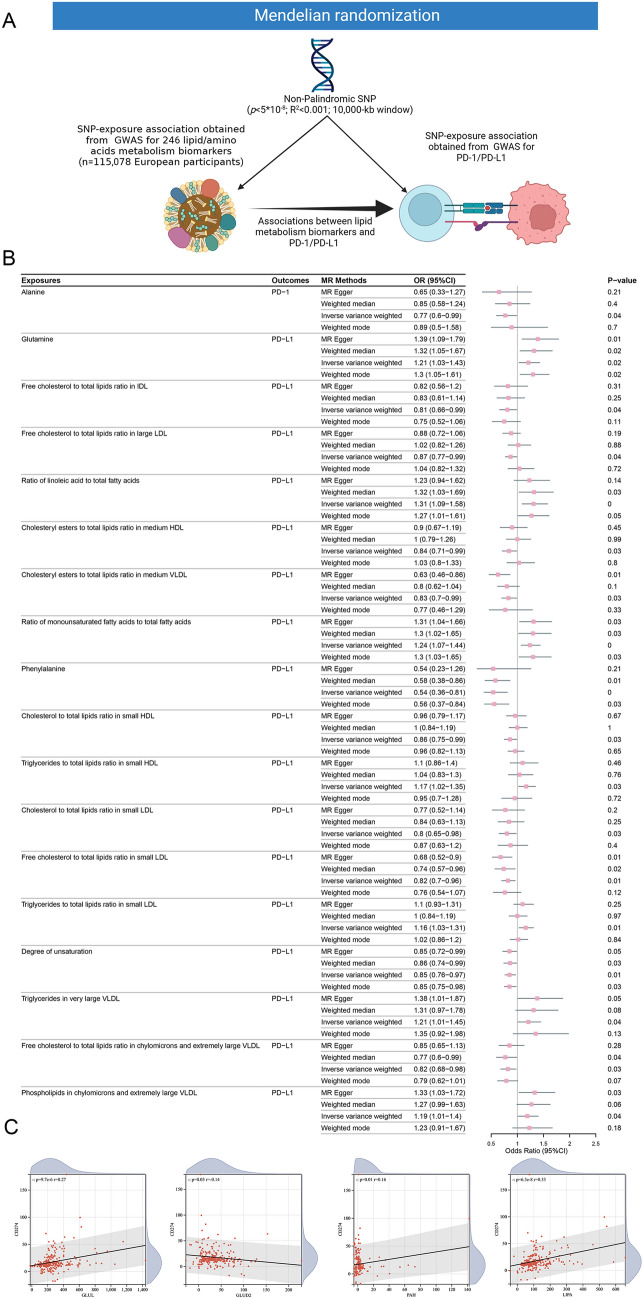 Decoding the genetic links between serum lipidomic profile, amino acid biomarkers, and ...