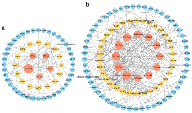 Integrative analysis of Iso-Seq and RNA-seq data reveals transcriptome complexity and ...