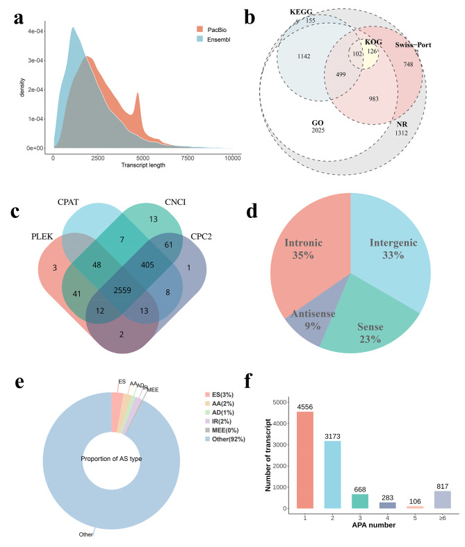 Integrative analysis of Iso-Seq and RNA-seq data reveals transcriptome complexity and ...