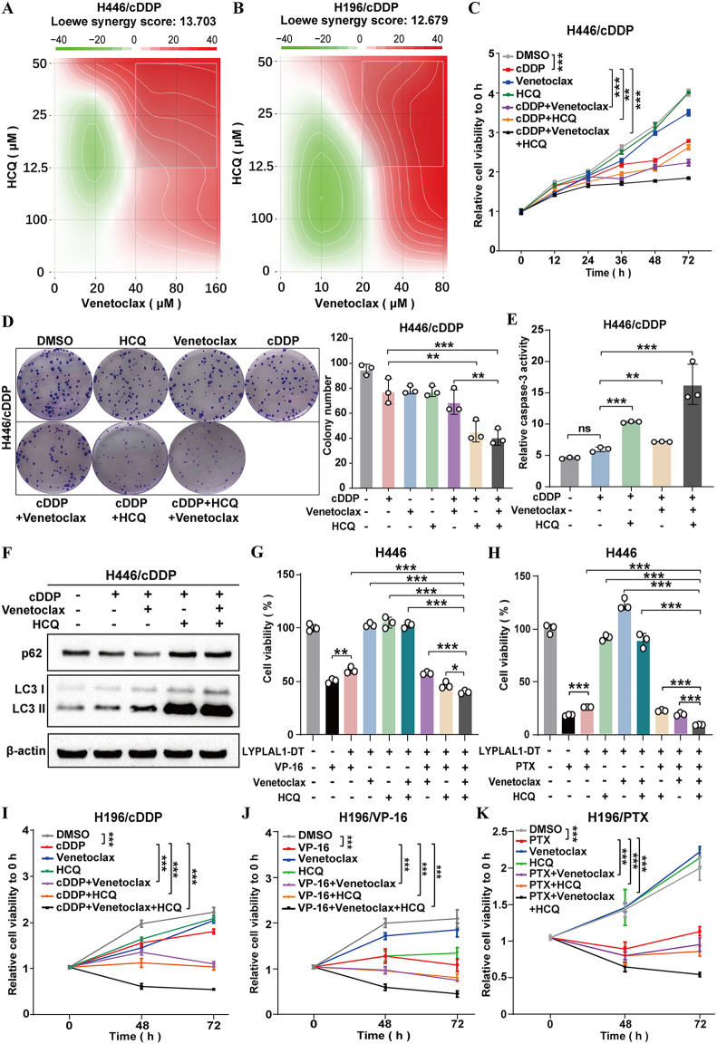 Overcoming multi-drug resistance in SCLC: a synergistic approach with venetoclax and ...