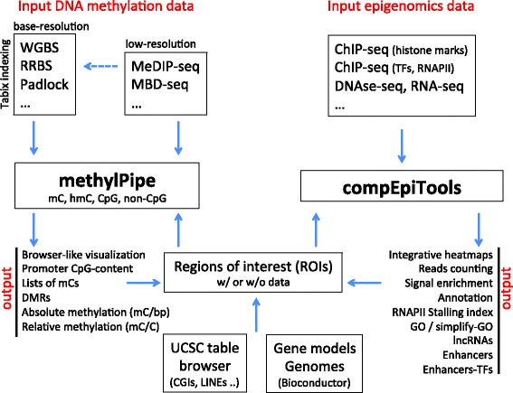 methylPipe and compEpiTools: a suite of R packages for the integrative analysis of epigenomics ...