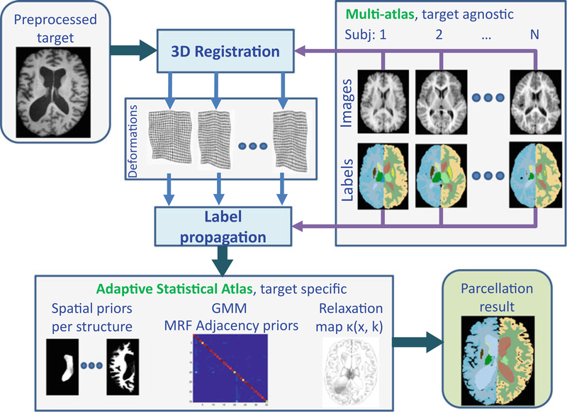Accurate Whole-Brain Segmentation for Alzheimer’s Disease Combining an Adaptive Statistical ...