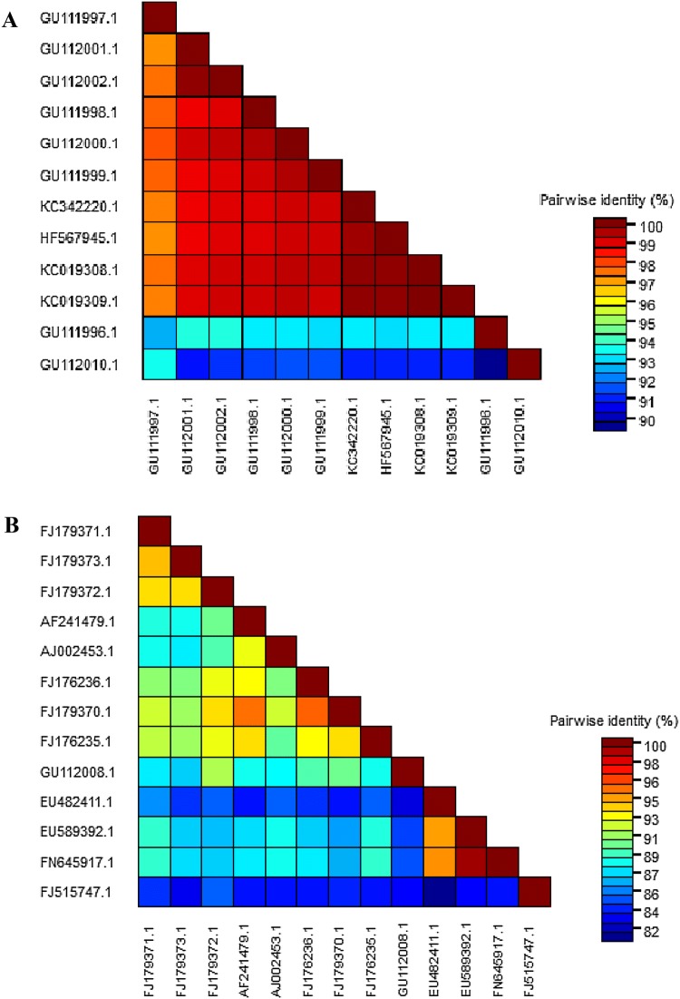Occurrence and variability of begomoviruses associated with bhendi ...