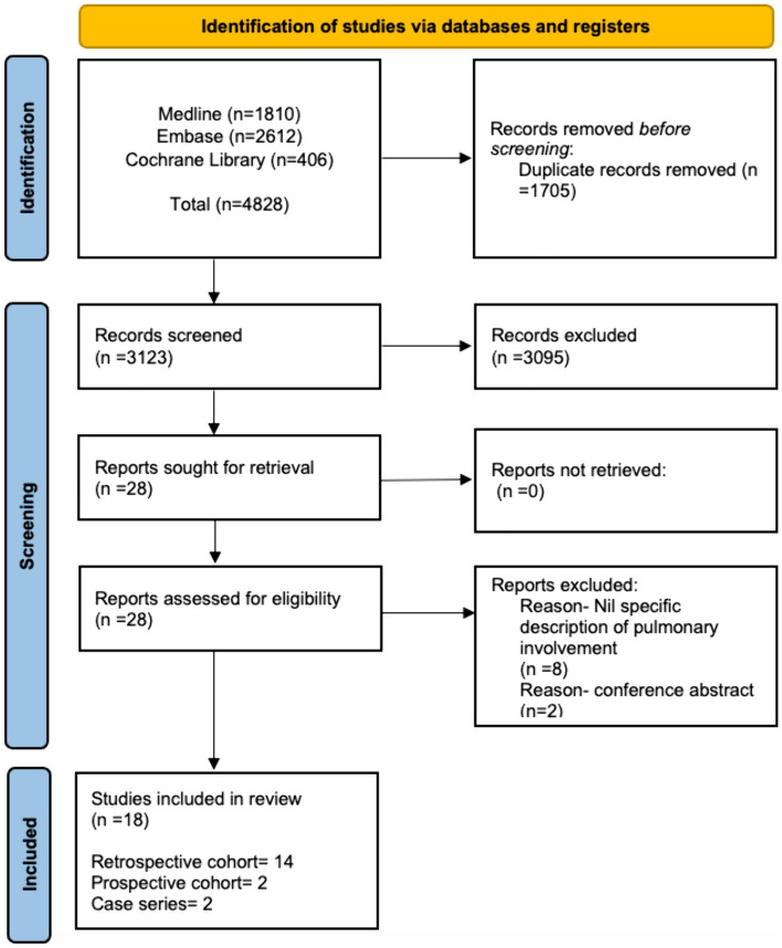 Pulmonary manifestations, treatments and outcomes of IgG4-related ...