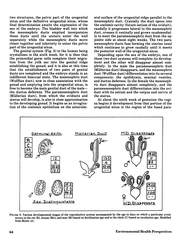 Comparative Developmental Aspects Of Selected Organ Systems. Ii