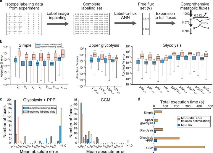 Determination of Metabolic Fluxes by Deep Learning of Isotope Labeling Patterns - PMC