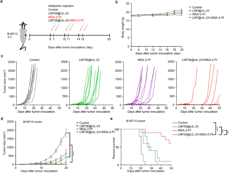 Enhanced antitumor efficacy of STING agonist MSA-2 by lipid nanoparticles delivering circular IL ...