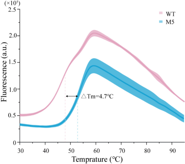 Enhancing thermostability of Moloney murine leukemia virus reverse transcriptase through greedy ...