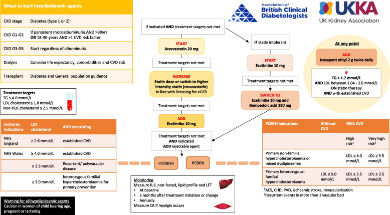 Clinical practice guideline for the management of lipids in adults with diabetic kidney disease ...