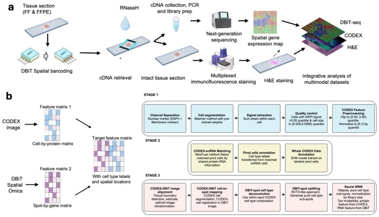 Integration of Imaging-based and Sequencing-based Spatial Omics Mapping on the Same Tissue ...
