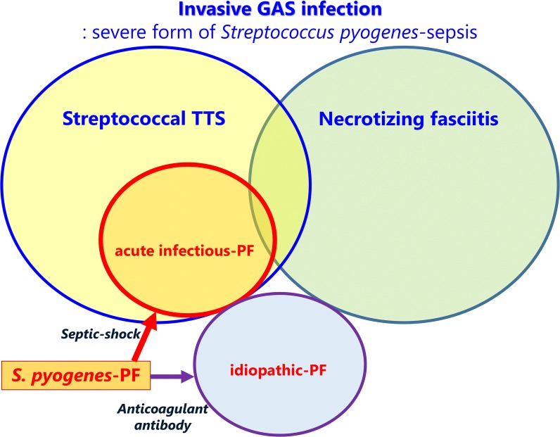 Streptococcus pyogenes-purpura fulminans as an invasive form of group A streptococcal infection ...