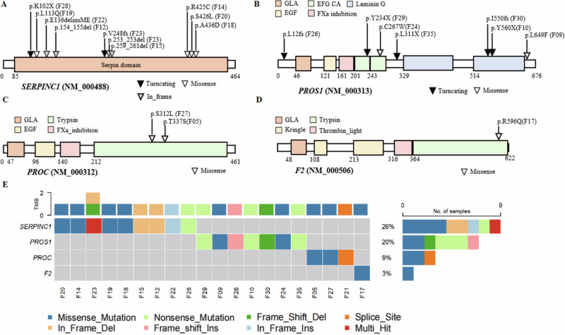 Whole genome sequencing identifies pathogenic genetic variants in Han Chinese patients with ...