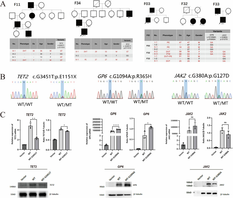 Whole genome sequencing identifies pathogenic genetic variants in Han Chinese patients with ...