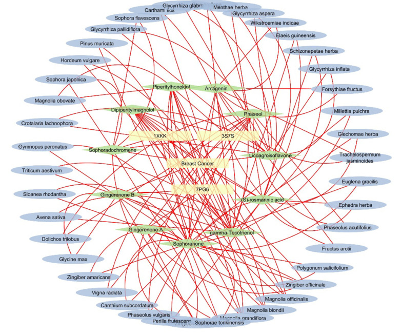 Exploring Herbal Compounds as Targeted Therapies for Breast Cancer: Insights from Network ...