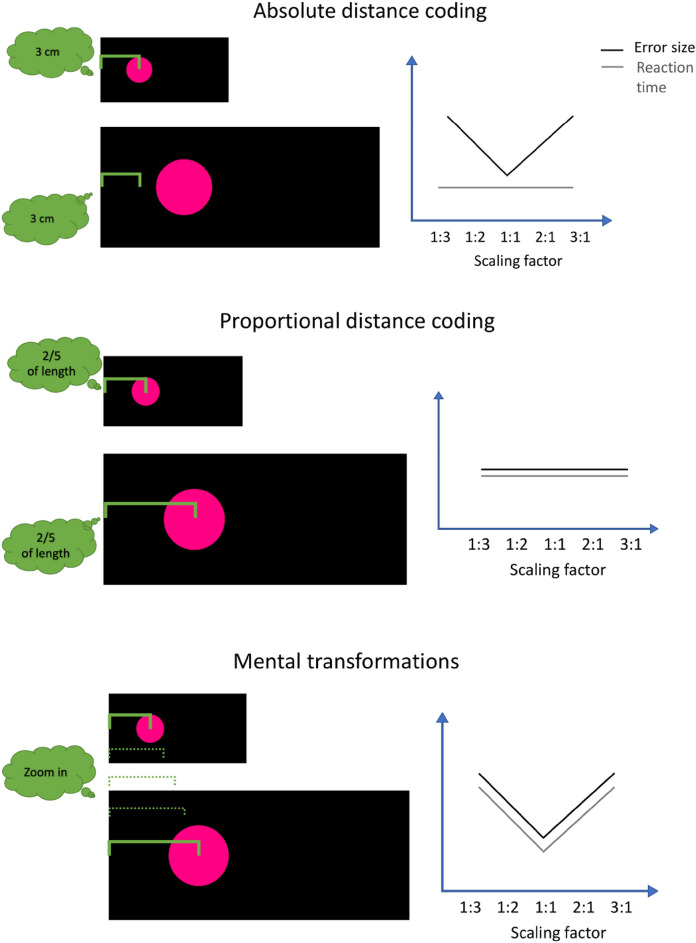 Effects of scaling direction on adults’ spatial scaling in different perceptual domains - PMC