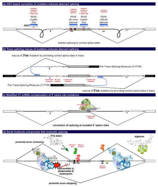 Targeting RNA Splicing for Disease Therapy - PMC