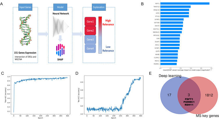 Identification of FDFT1 and PGRMC1 as New Biomarkers in Nonalcoholic ... Identification of FDFT1 and PGRMC1 as New Biomarkers in Nonalcoholic ...