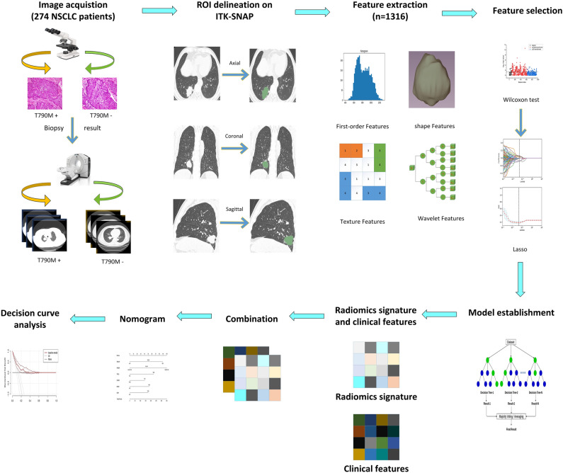 Machine learning-based radiomics strategy for prediction of acquired EGFR T790M mutation ...