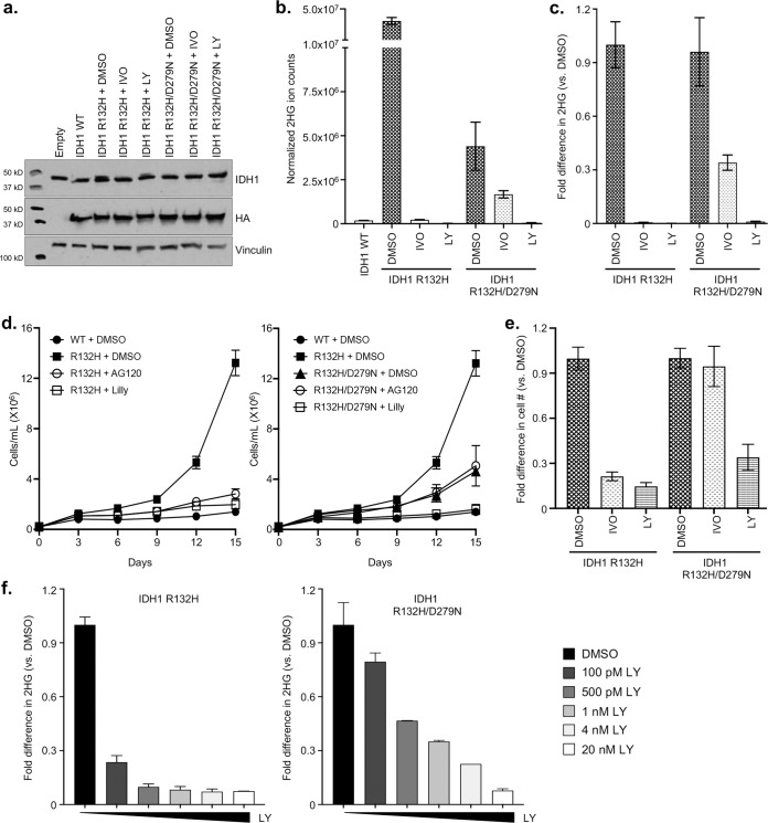 Secondary IDH1 resistance mutations and oncogenic IDH2 mutations cause acquired resistance to ...