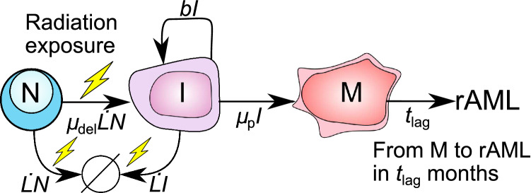 Hyper Radiosensitivity Affects Low Dose Acute Myeloid Leukemia