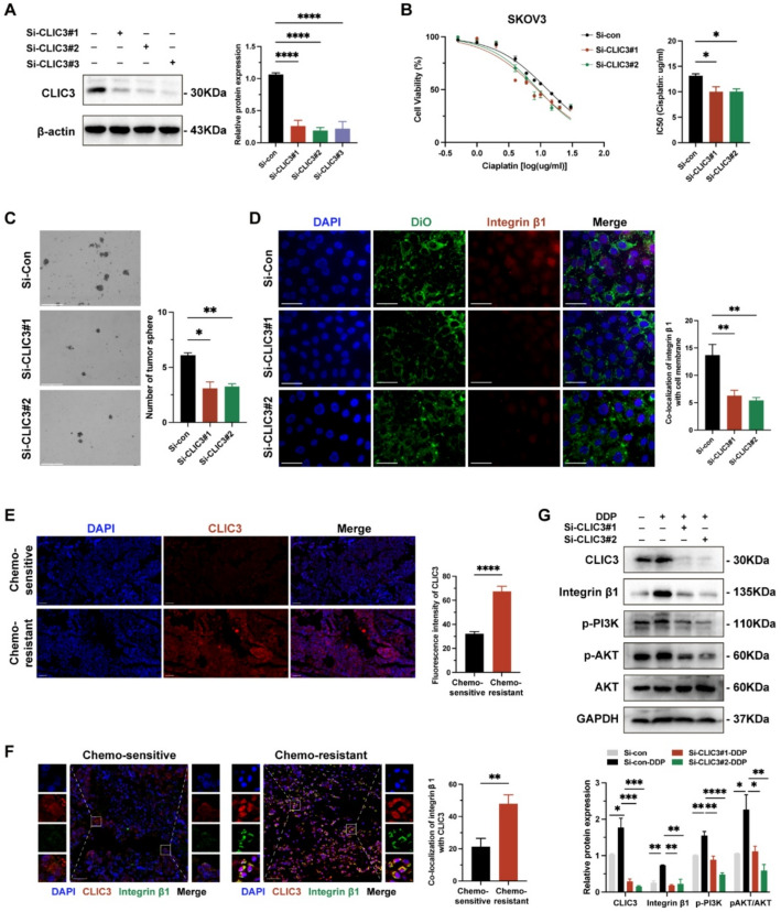 Single-cell transcriptomics identify a chemotherapy-resistance related cluster overexpressed ...