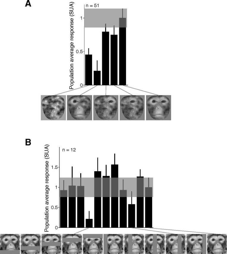 Figure 11.