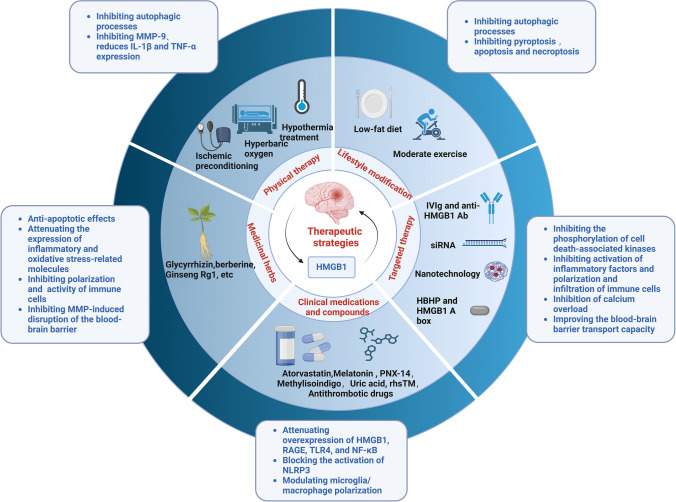HMGB1: A New Target for Ischemic Stroke and Hemorrhagic Transformation - PMC