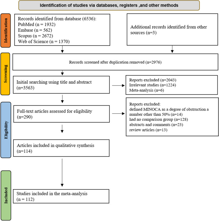 Understanding Myocardial Infarction with Non-Obstructive Coronary ...
