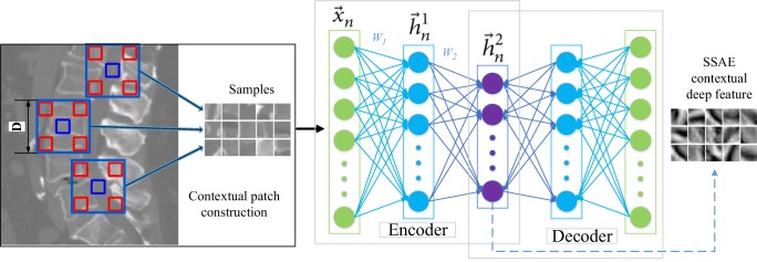 Automatic Vertebrae Localization and Identification by Combining Deep ...