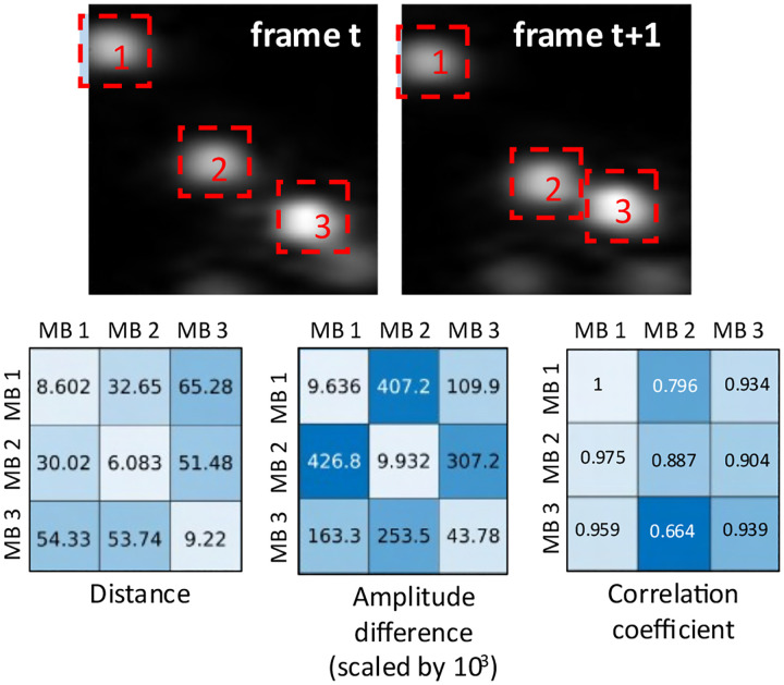 Improved Microbubble Tracking for Super-Resolution Ultrasound Localization Microscopy using a Bi ...