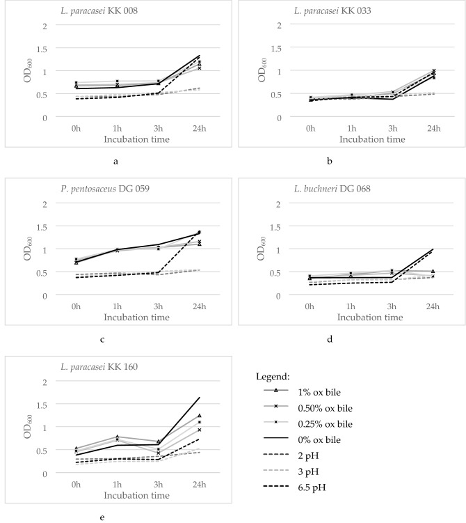 Isolation and probiotic potential of lactic acid bacteria from swine feces for feed additive ...