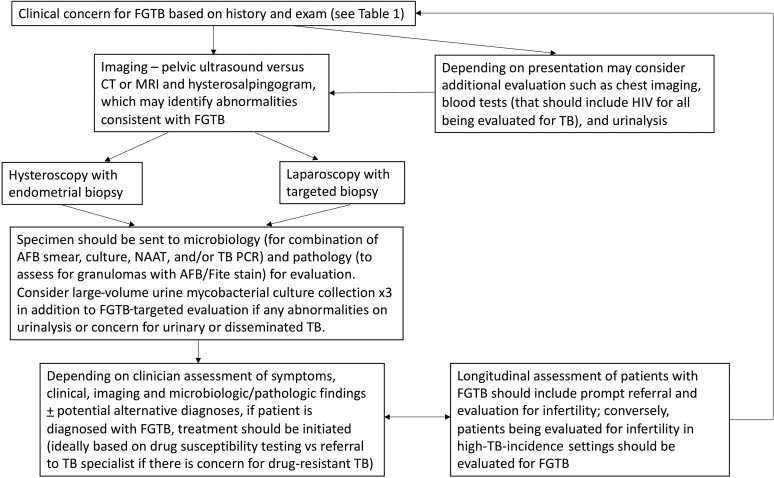 Female Genital Tuberculosis - PMC