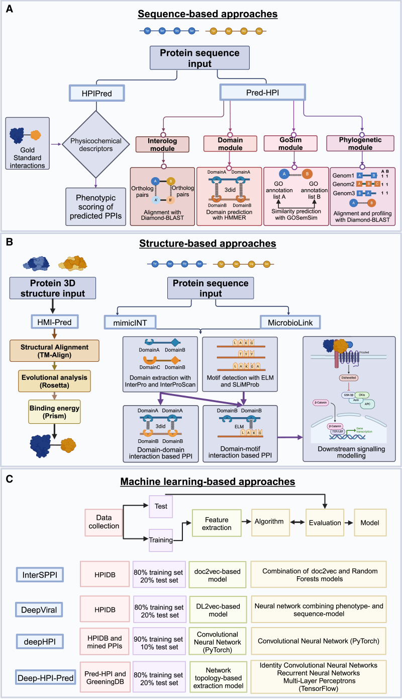 Integrating multi-omics to unravel host-microbiome interactions in inflammatory bowel disease - PMC