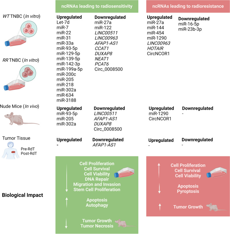 Non-coding RNAs as modulators of radioresponse in triple-negative ...