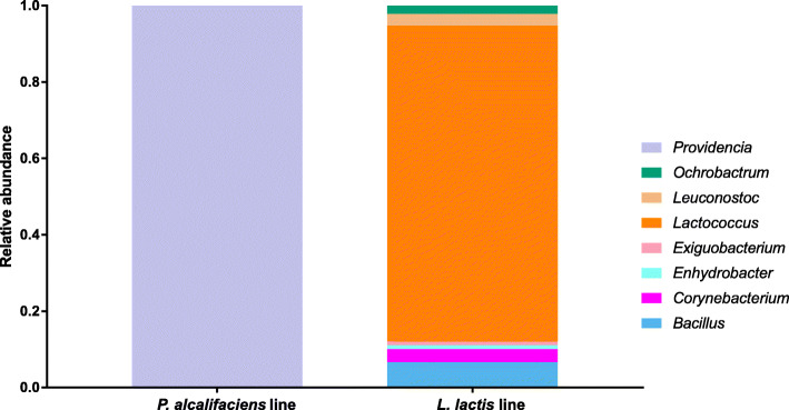 Influence of inoculated gut bacteria on the development of Bactrocera dorsalis and on its ...