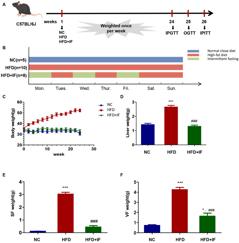 Intermittent fasting regulates gut microbiota and serum metabolome ...