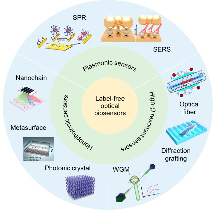Label-free optical detection and quantification of pathogens for point-of-care applications - PMC