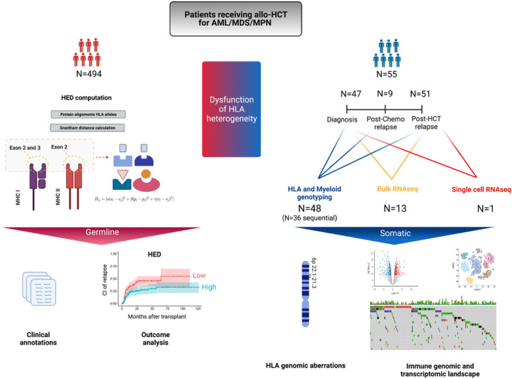 Leukemia relapse via genetic immune escape after allogeneic hematopoietic cell transplantation - PMC