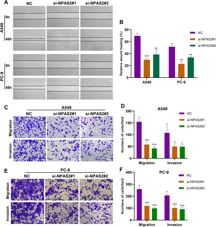 Characterization Of Molecular Subtypes Based On Chromatin Regulators And Identification Of The