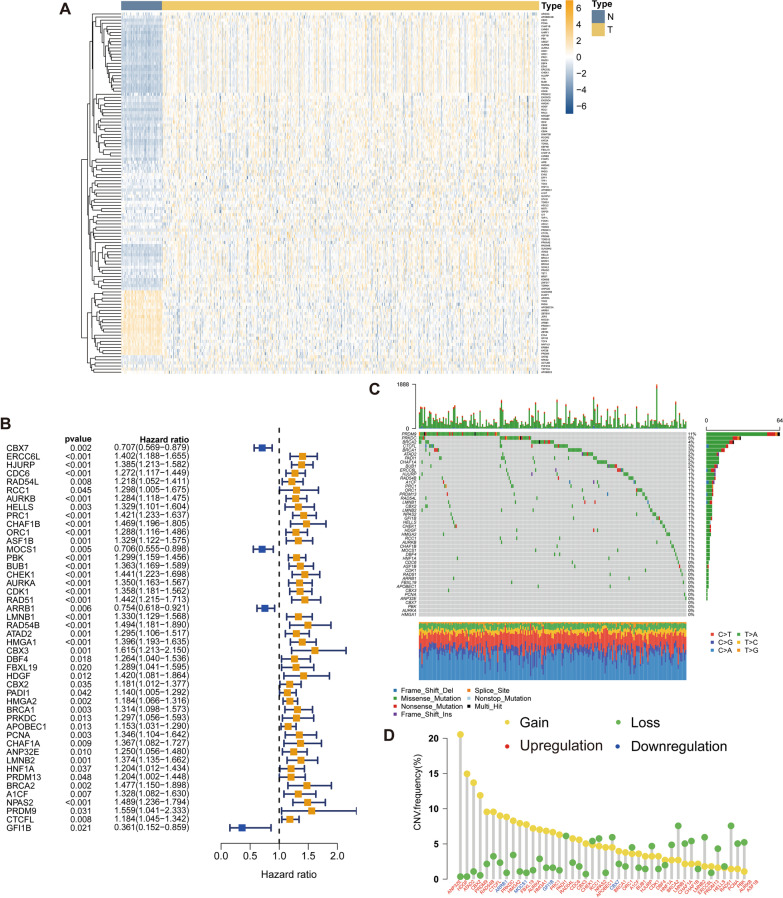 Characterization Of Molecular Subtypes Based On Chromatin Regulators And Identification Of The