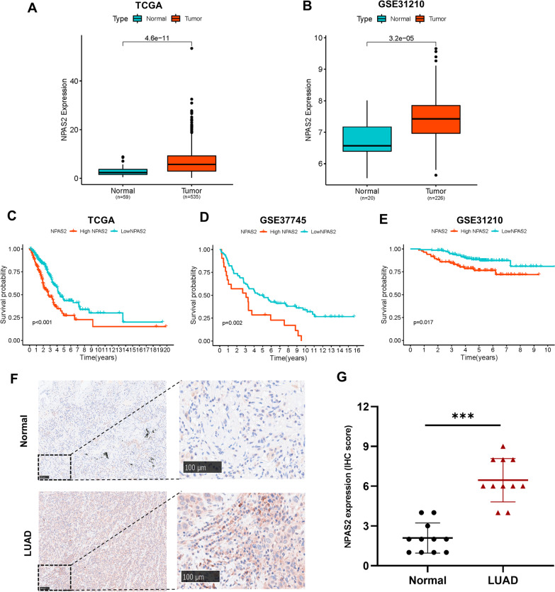 Characterization Of Molecular Subtypes Based On Chromatin Regulators And Identification Of The