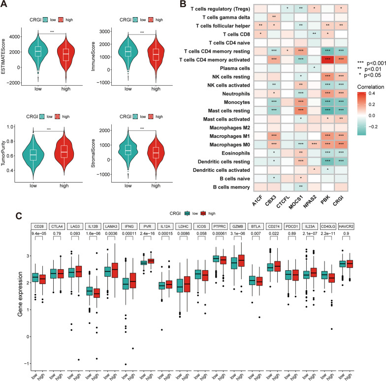 Characterization Of Molecular Subtypes Based On Chromatin Regulators And Identification Of The