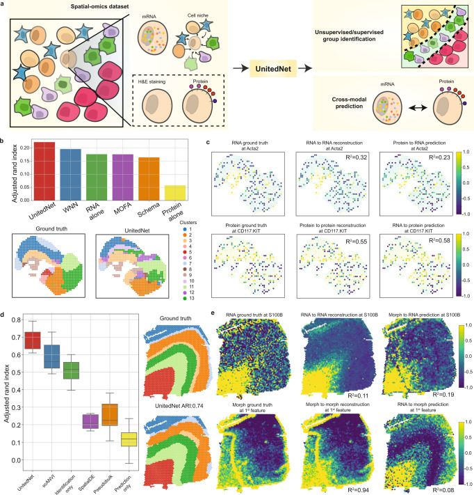 Explainable multi-task learning for multi-modality biological data analysis - PMC