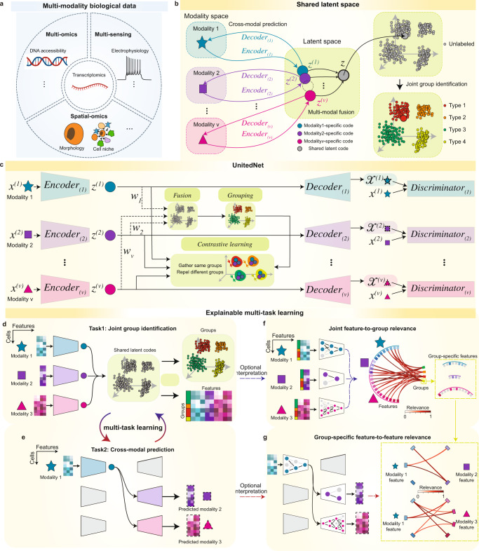 Explainable multi-task learning for multi-modality biological data analysis - PMC